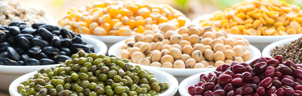 Plant-Based Proteins: Protein-Packed Beans